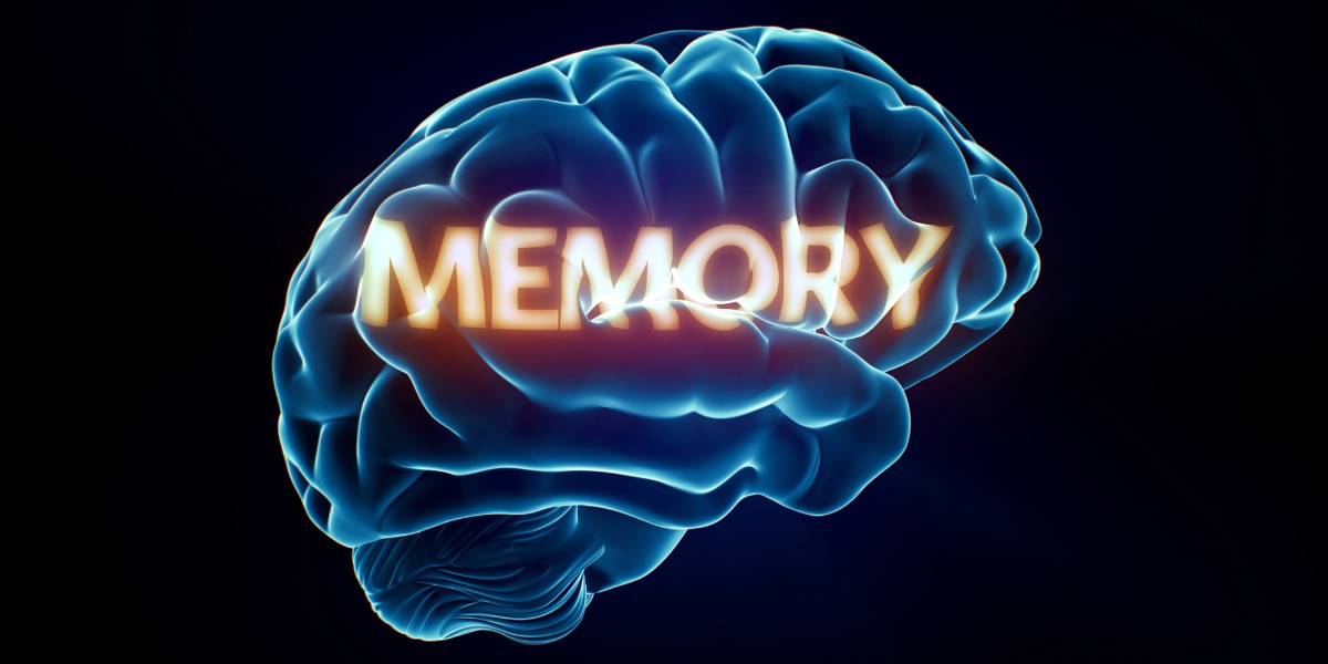 👉😊Working Memory Short Term Memory Strategies😊👈