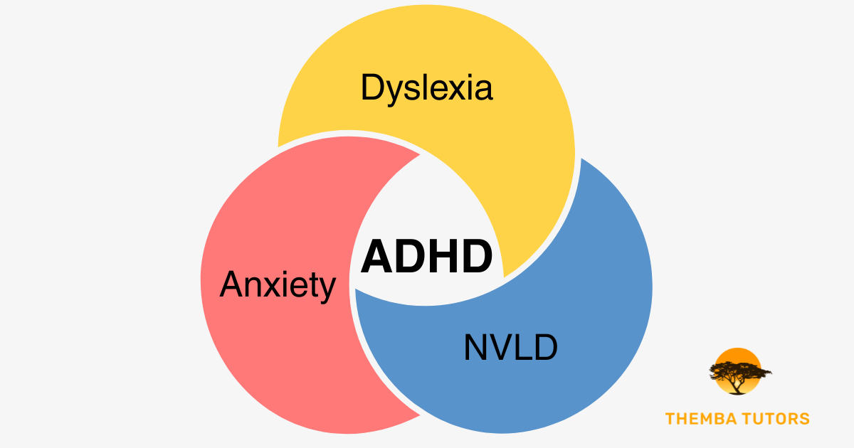 The Powerful Truth About Dr. Russell Barkley and ADHD